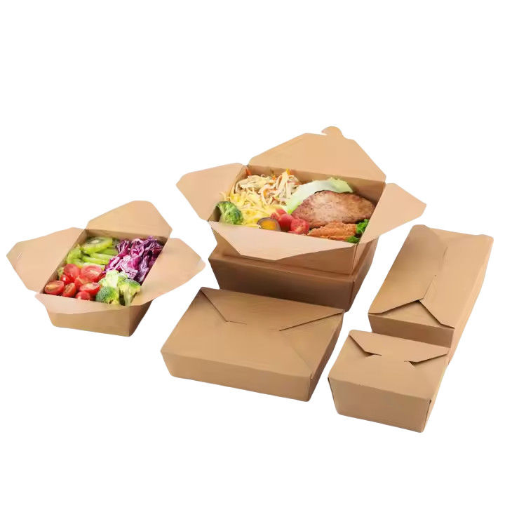 Eco-Friendly Custom Takeaway Food Boxes Recyclable & Biodegradable ...